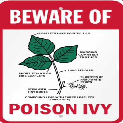 Beware of Poison Ivy Sign