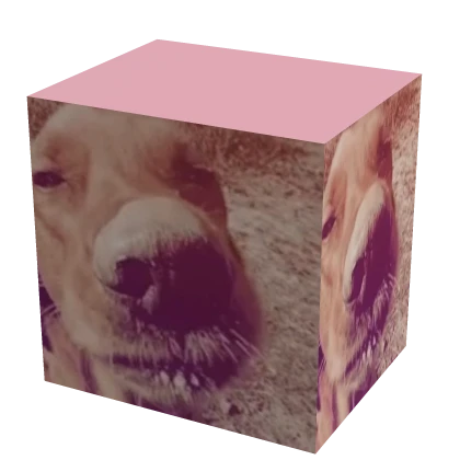 rio de janeiro eater box freaky papyrus | Roblox Item - Rolimon's