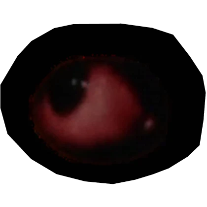 Personal creepy eye | Roblox Item - Rolimon's