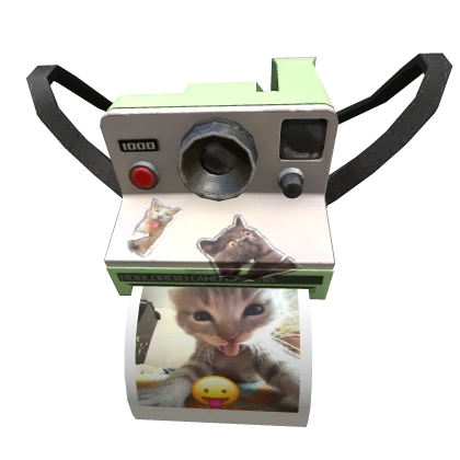 Green Camera w/ funny cat photo and stickers | Roblox Item - Rolimon's