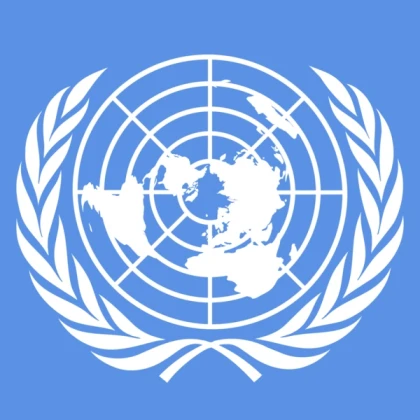 UBN Flag