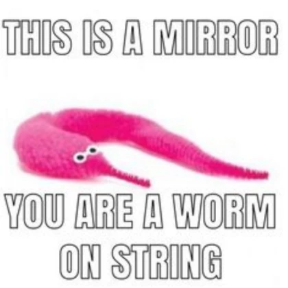 worm meme 2