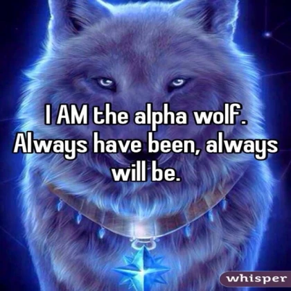 alpha wolf