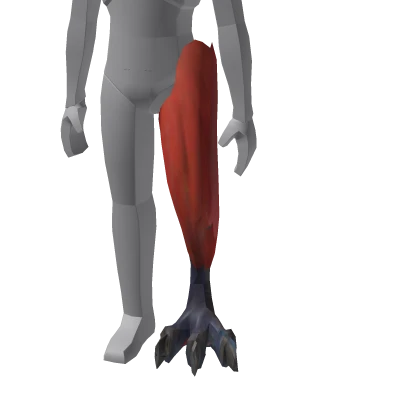 Sigma Buff Parrot 💛 ️💙 Funny Meme T… - Lewa noga | Roblox Item - Rolimon's