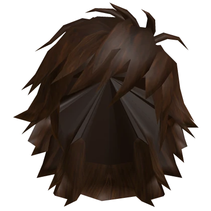 Hair | Roblox Item - Rolimon's
