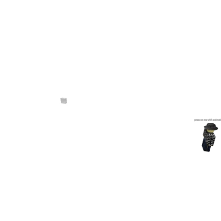 Asset Preview