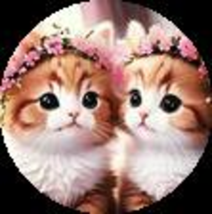 2 Cute Cat - Roblox