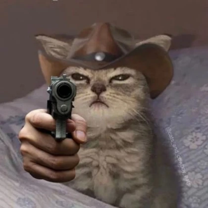 yee haw cat
