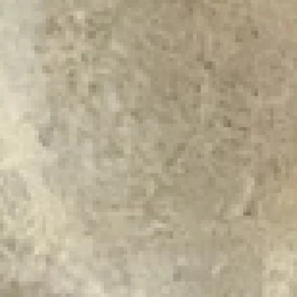 BEAR (Alpha)- Skin Texture