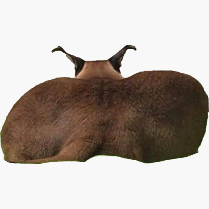 bg,f8f8f8-flat,750x,075,f-pad,750x1000,f8f8f8