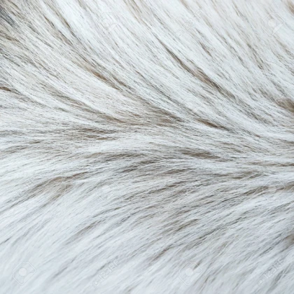 Dog Fur