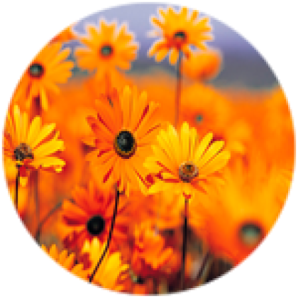 Welcome Scan - Roblox