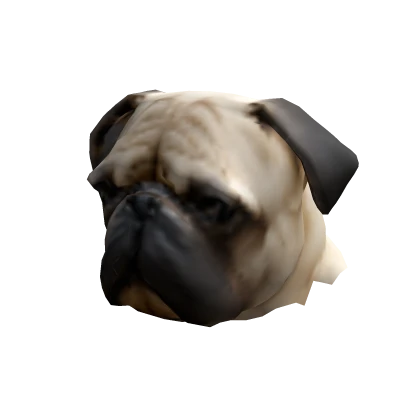 Buff Pug - Dynamic Head | Roblox Item - Rolimon's