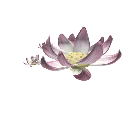 Lotus 🪷 Pure soft pink | Roblox Item - Rolimon's