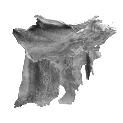 White Cap | Roblox Item - Rolimon's