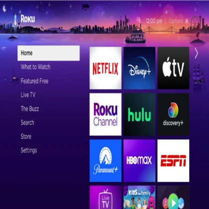 roku tv screen