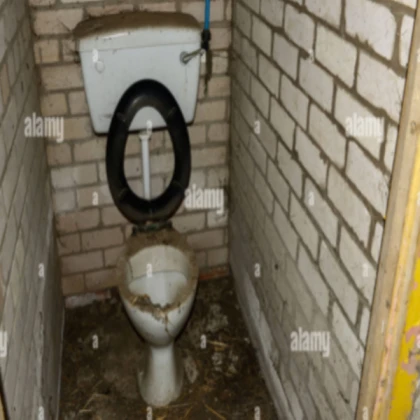 Disgusting toilet decal