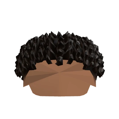 Curly Defined Coils Dark Brown Mid Taper Fade | Roblox Item - Rolimon's