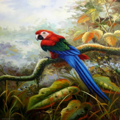 Parrot
