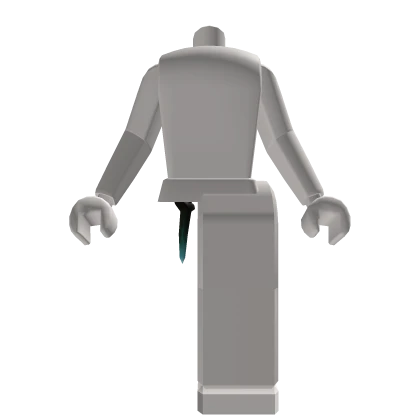 Pirate Leg Bypass | Roblox Item - Rolimon's