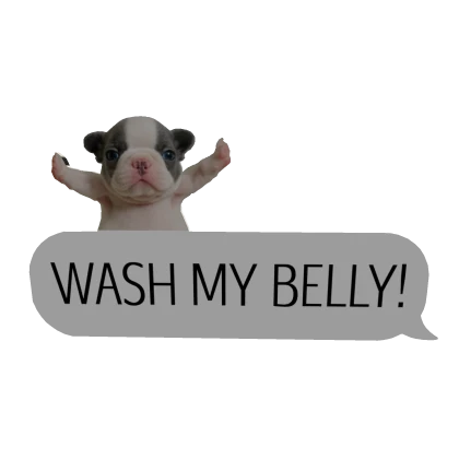 Pibble Text Message (White) | Roblox Item - Rolimon's