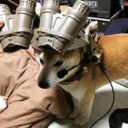 tactical doge