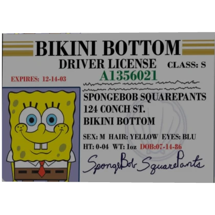 Spongebob Drivers License | Roblox Item - Rolimon's