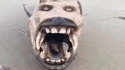 Simulatore Freaky - Roblox