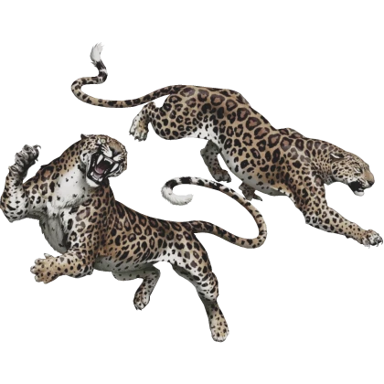 Leopard Tiger Animal Black | Roblox Item - Rolimon's