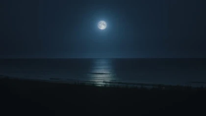 [ MOONLIGHT ] | Roblox Group - Rolimon's