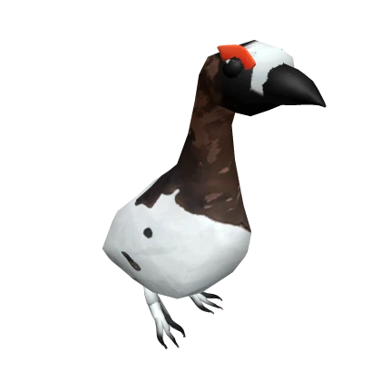 AWEBO Bird Shoulder Pal | Roblox Item - Rolimon's