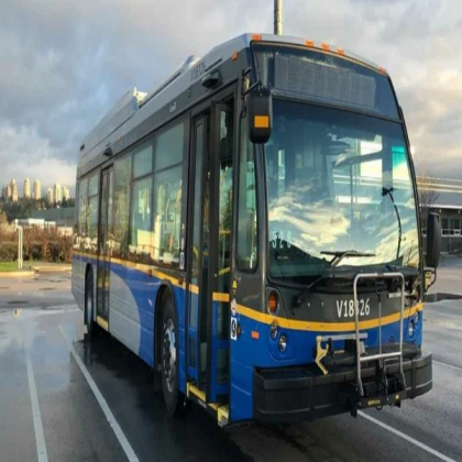 translink Bus