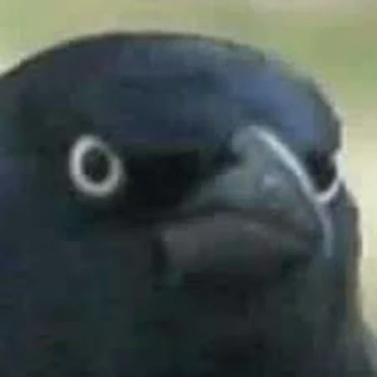 Crow of Disapproval