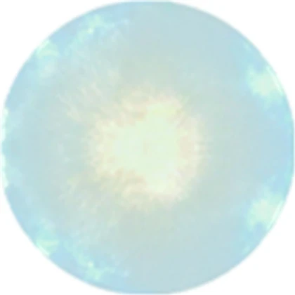 Atlantis Stargate Shield
