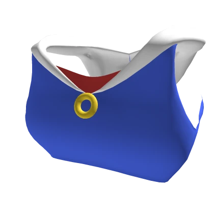 R6 1.0 Girl Sonic Crop Top Hoodie | Roblox Item - Rolimon's