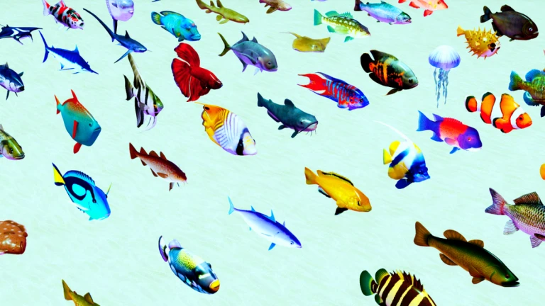 Be Fish | Roblox Game - Rolimon's