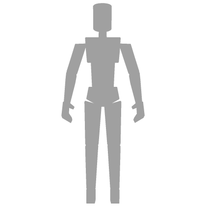 INSANITY | Roblox Item - Rolimon's