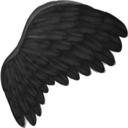 Realistic Black Wings (Valkyrie Wings)