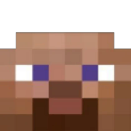 Minecraft Steve Face