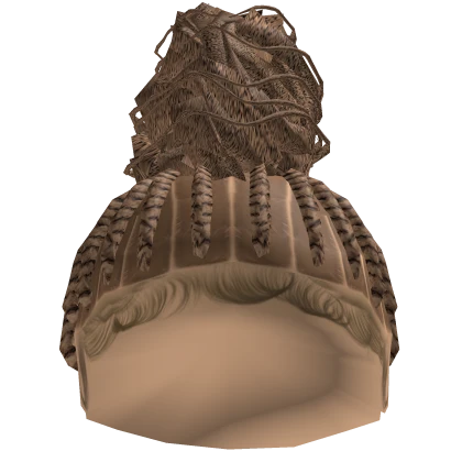 Celine Braid Buns V2 | Roblox Item - Rolimon's
