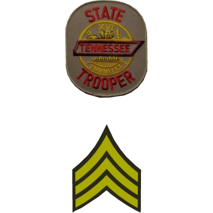 Right THP Patch + Sergeant Chevrons | Roblox Item - Rolimon's