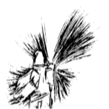 Punch Impact Frame