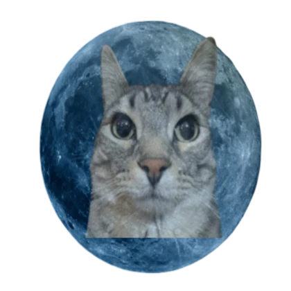 Zazu Moon