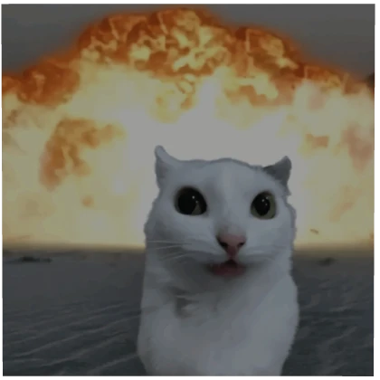 satanic cat pfp