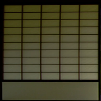 Dojo Door