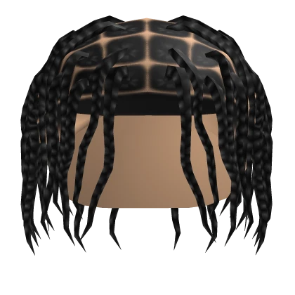 Black Box Braided Hair | Roblox Item - Rolimon's