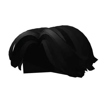 Sk8ter Boy Hair in Black