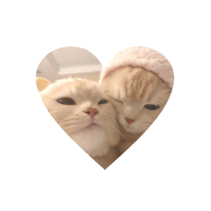 Cute cat crosshair!
