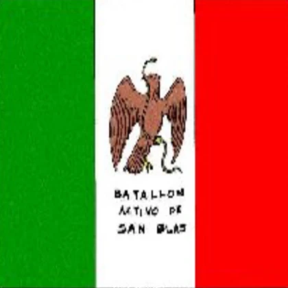 Mexican Revolutionary Flag(?)