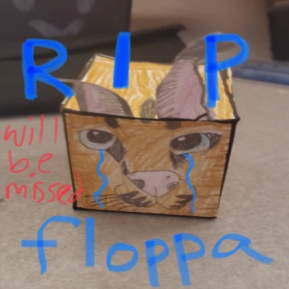 Rip floppa